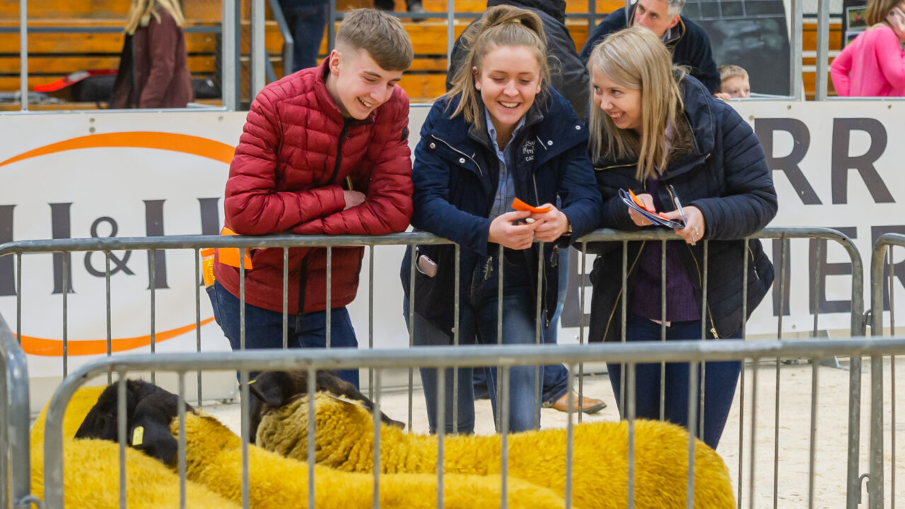 National Youth Championships - Carlisle 2019 - Suffolk Sheep Society