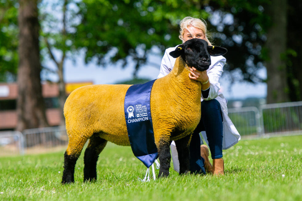 Royal Highland Show - 2021 - Suffolk Sheep Society
