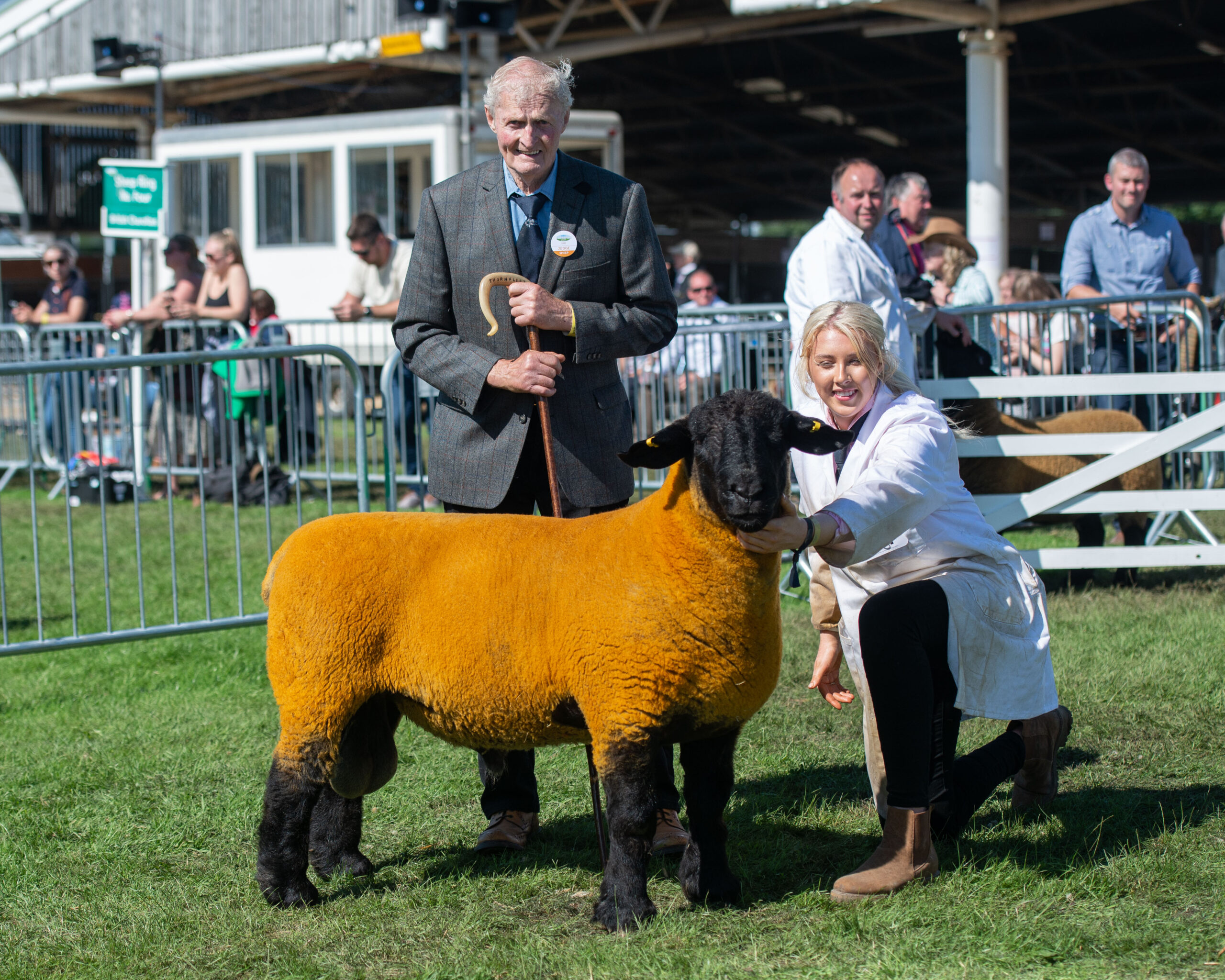 Suffolk Sheep Society Events - Suffolk Sheep Society