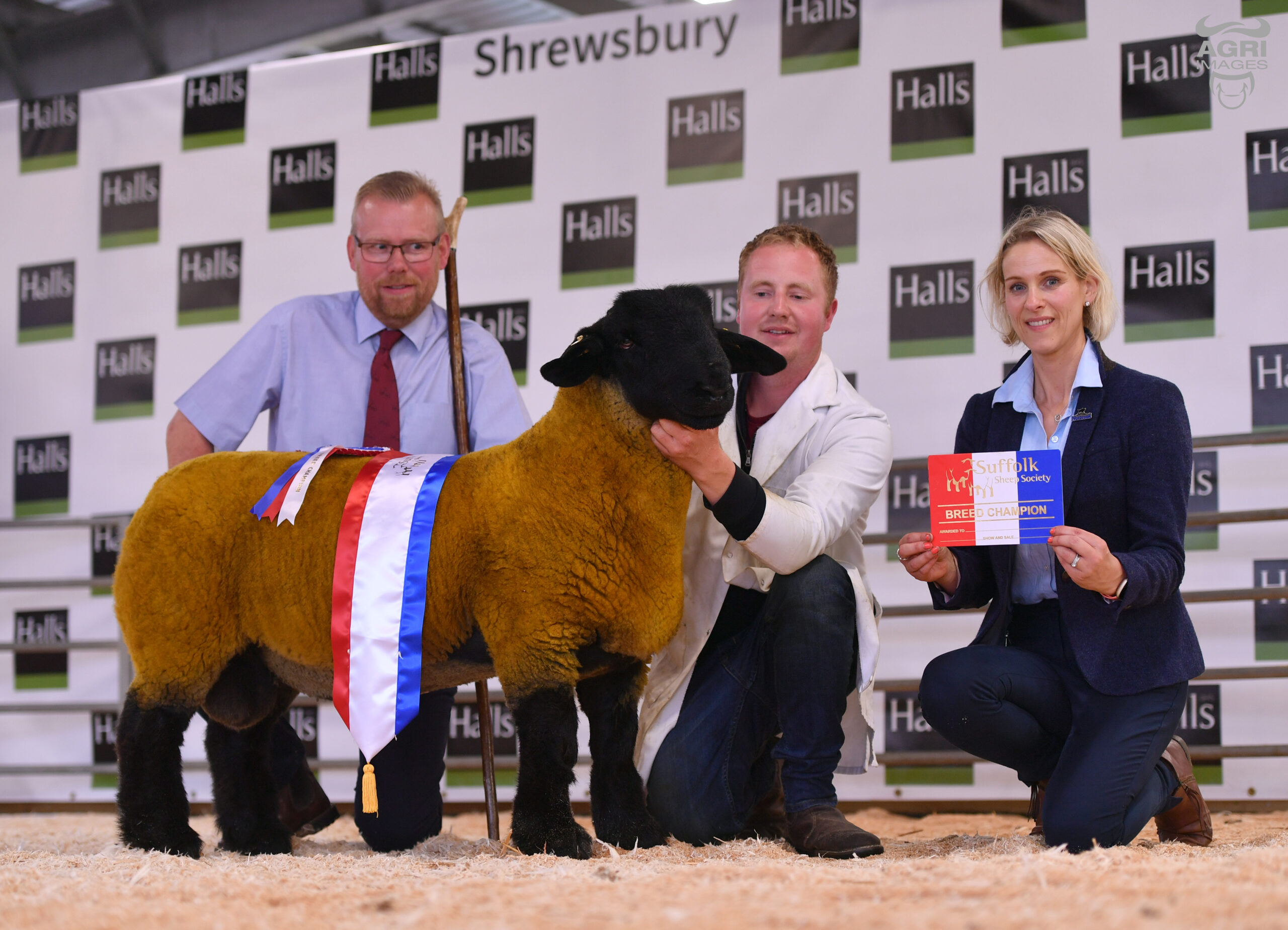 National Show & Sale - Shrewsbury 2021 - Suffolk Sheep Society