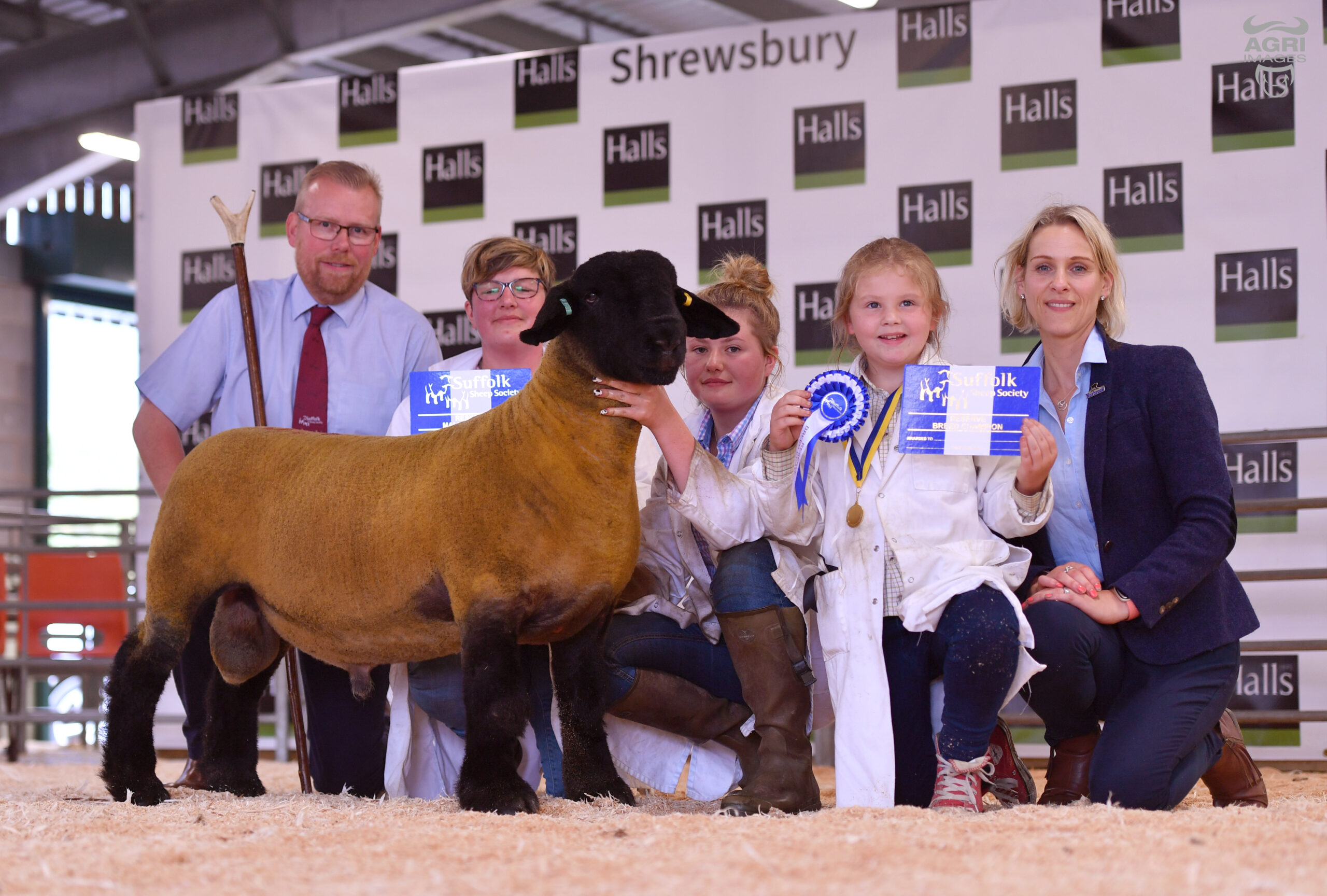 National Show & Sale - Shrewsbury 2021 - Suffolk Sheep Society