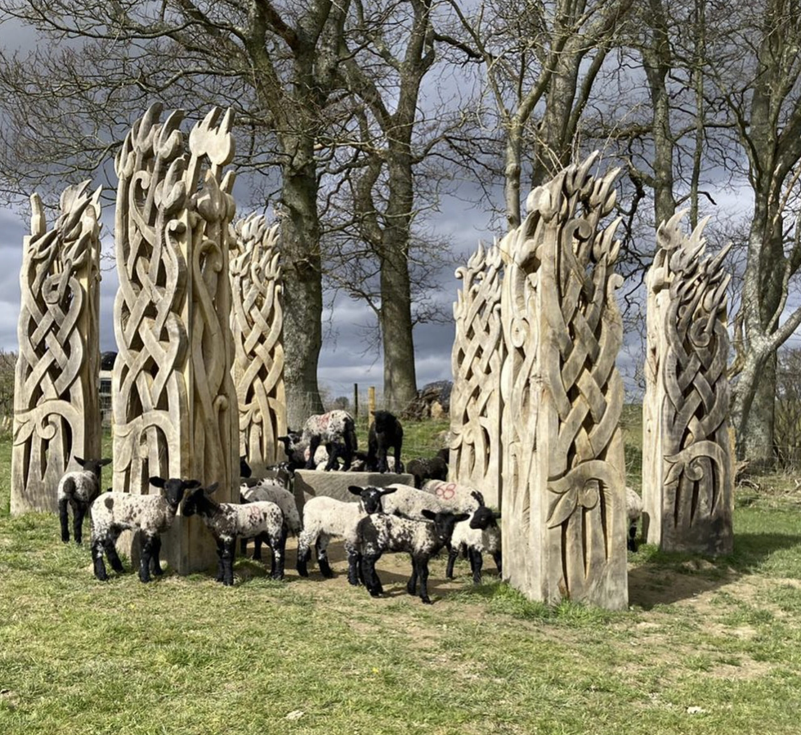 Commercial - Suffolk Sheep Society