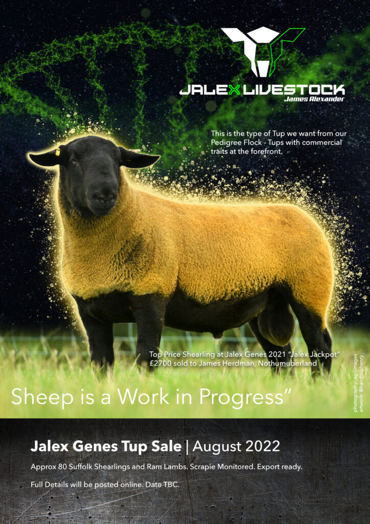 Members Advertisements - Suffolk Sheep Society