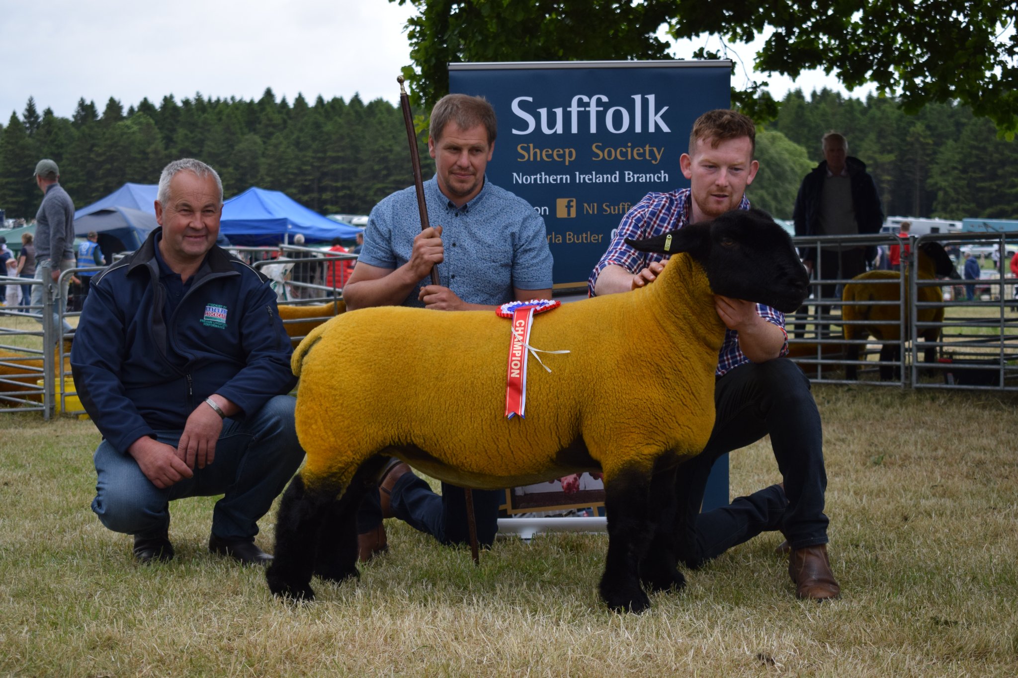 Northern Ireland Suffolk Branch - Armagh Show - Suffolk Sheep Society