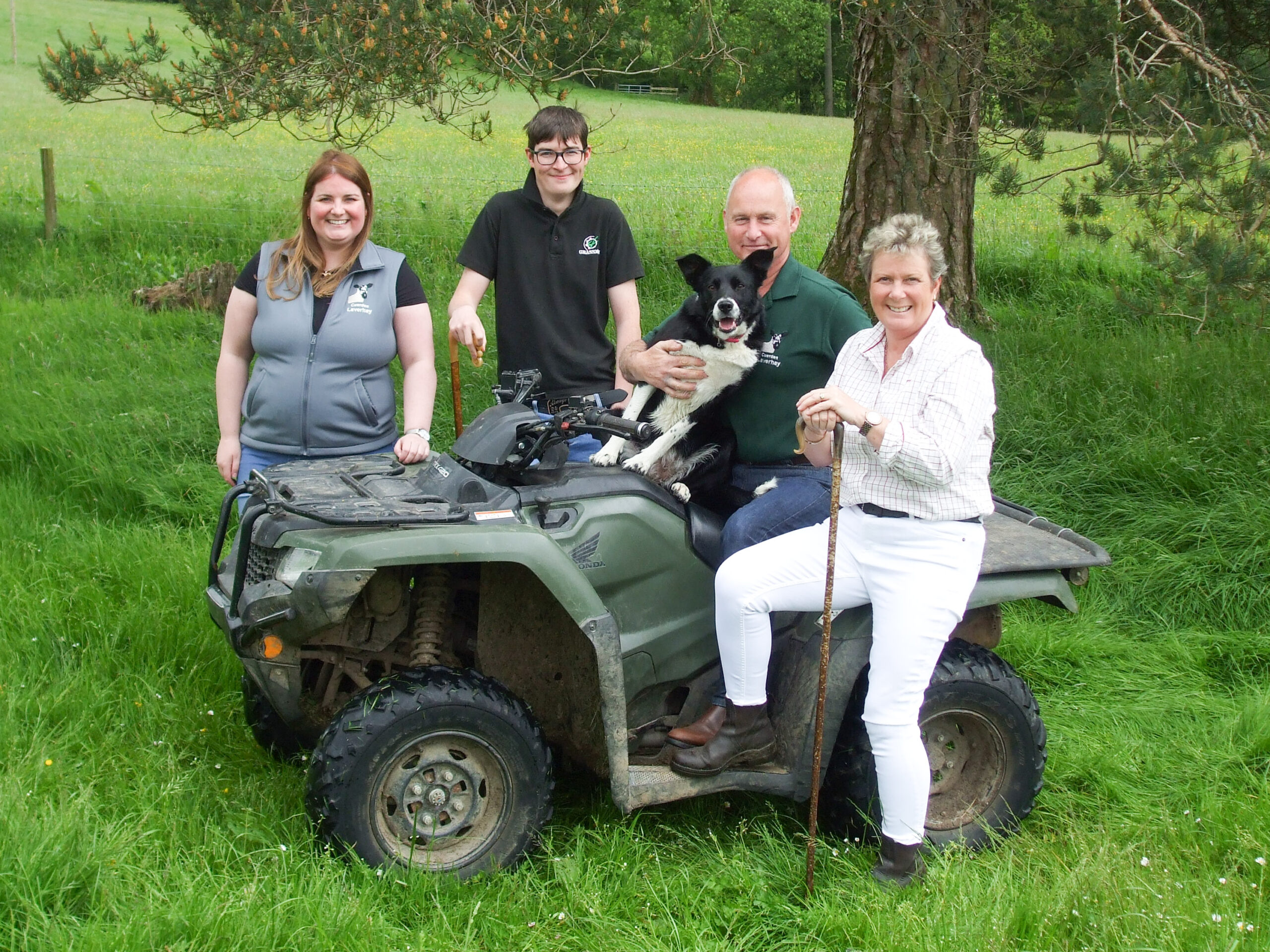 Raggiewhaite Farm consistency with Suffolks - Suffolk Sheep Society