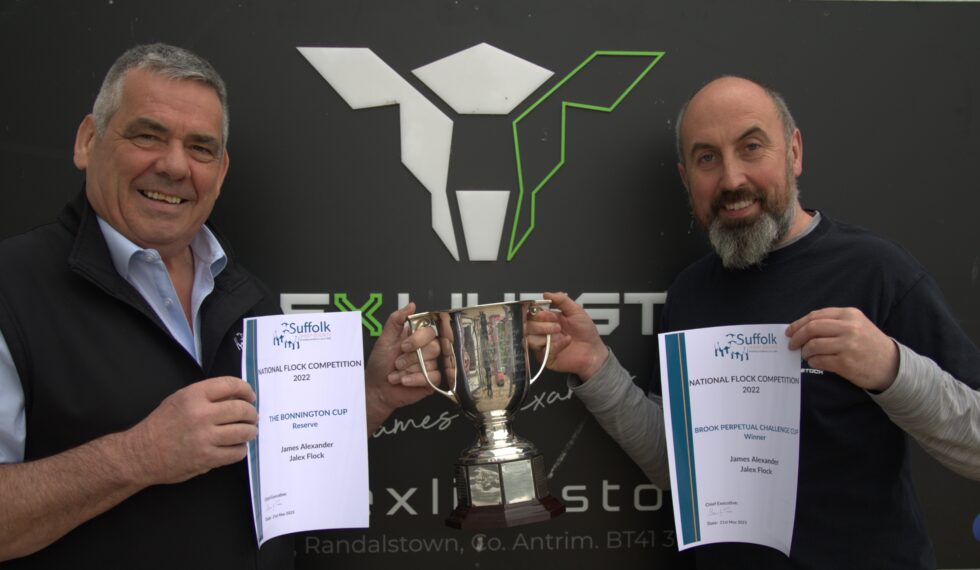 National Flock Competition 2022 Open Day - Suffolk Sheep Society