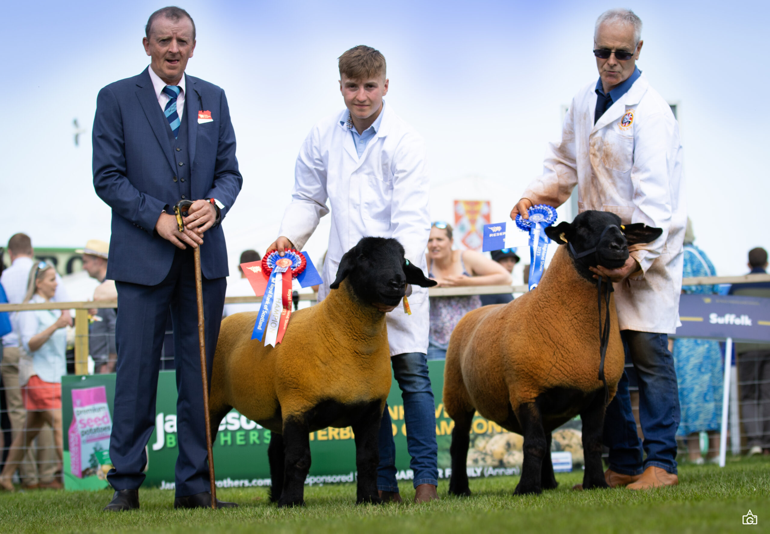 Royal Highland Show 2023 - Suffolk Sheep Society