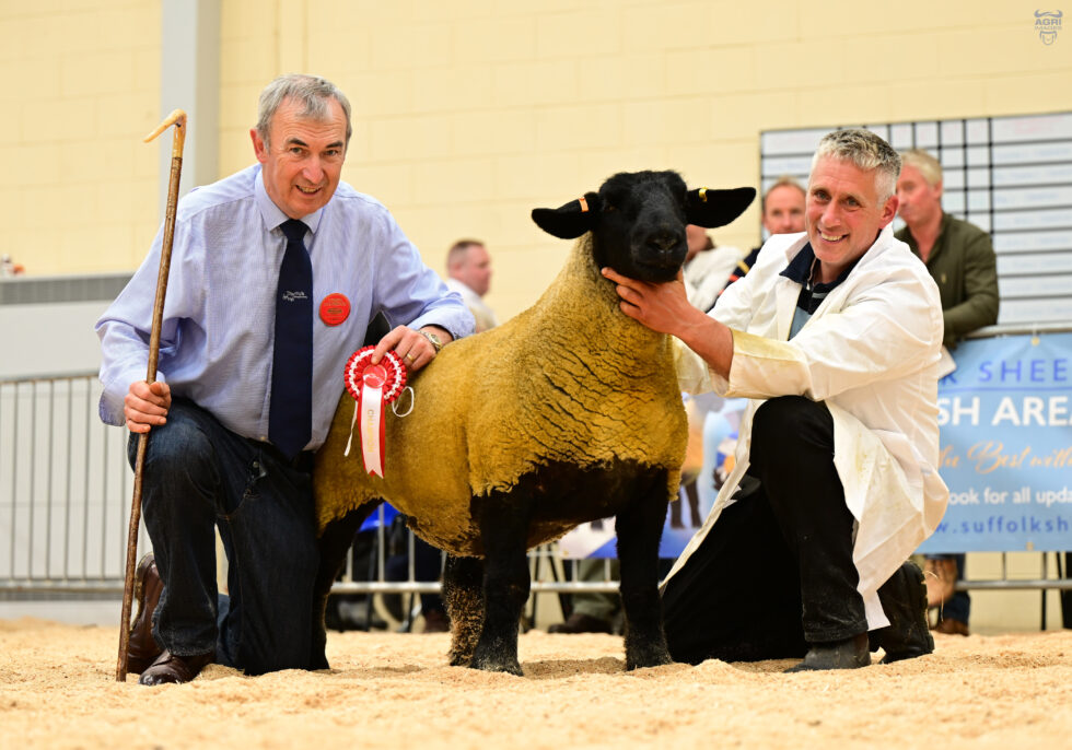 Scottish Area Branch Show and Sale - Lanark 2023 - Suffolk Sheep Society