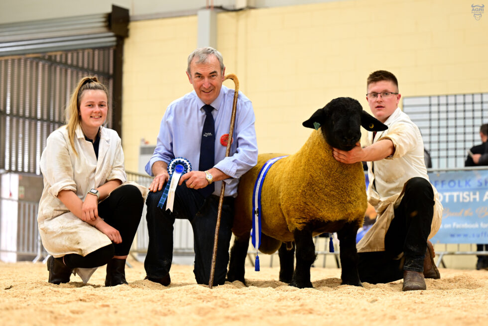 Scottish Area Branch Show and Sale - Lanark 2023 - Suffolk Sheep Society