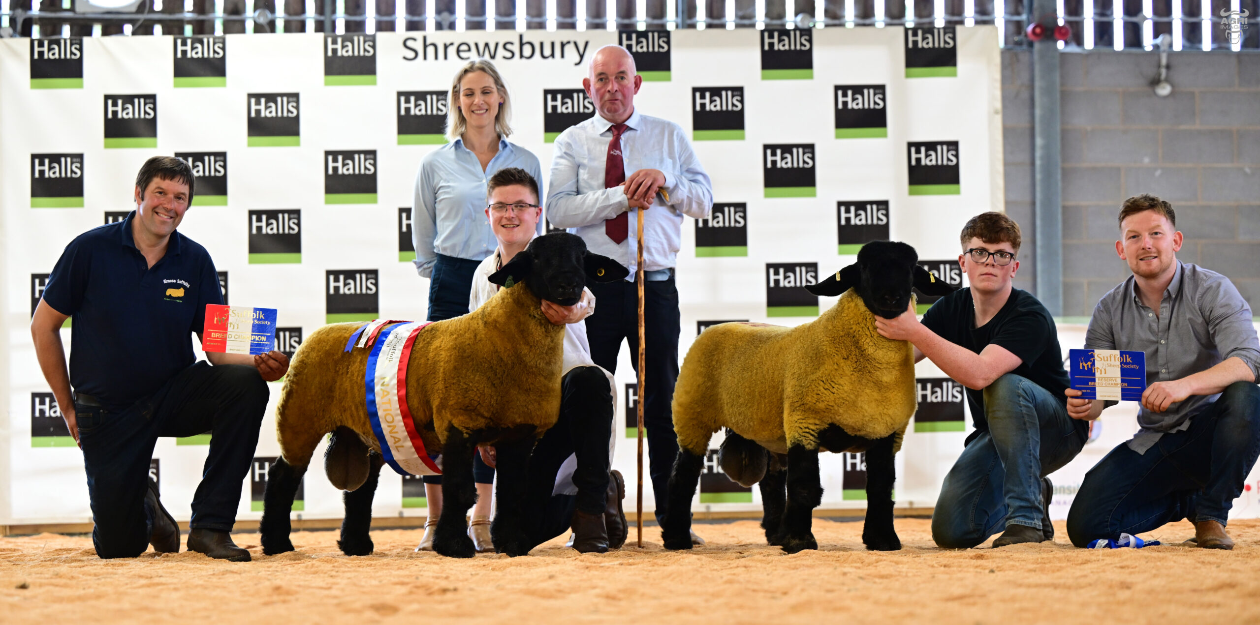 The National Show and Sale - Shrewsbury 2023 - Suffolk Sheep Society