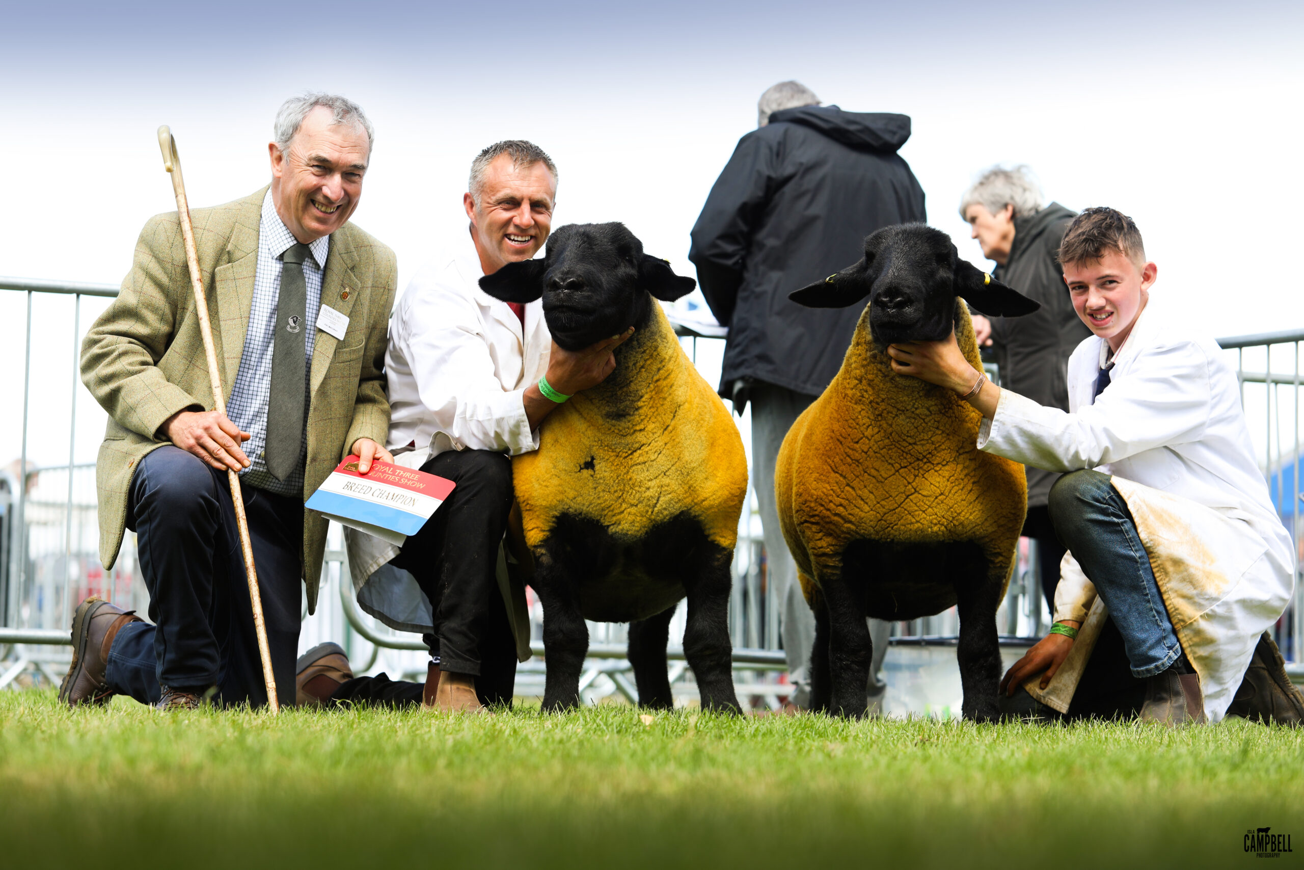 Royal Three Counties Show 2024 - Suffolk Sheep Society