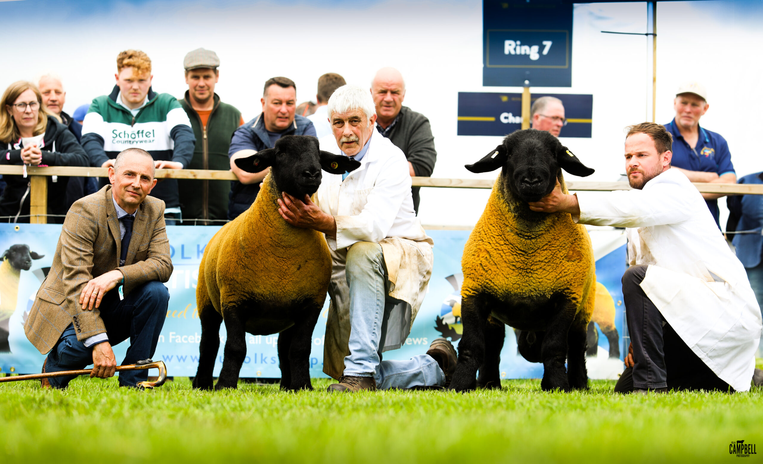 Royal Highland Show - 2024 - Suffolk Sheep Society