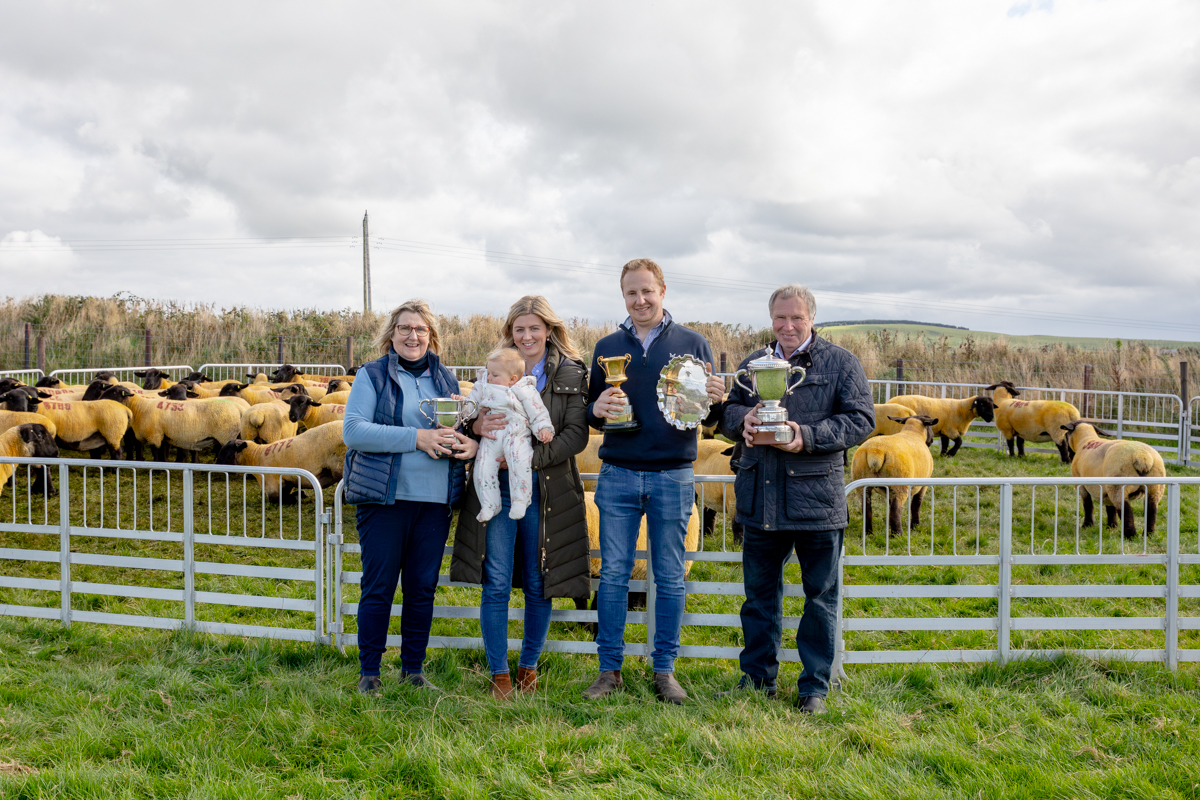 National Flock Competition 2024 View Day - Suffolk Sheep Society