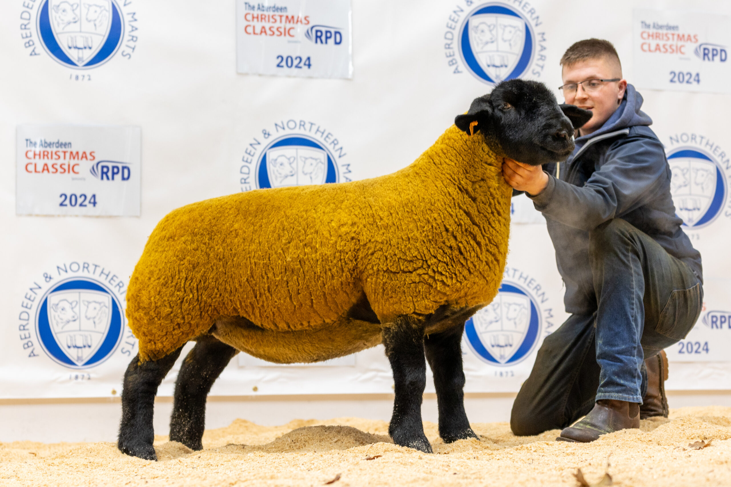 Home - Suffolk Sheep Society