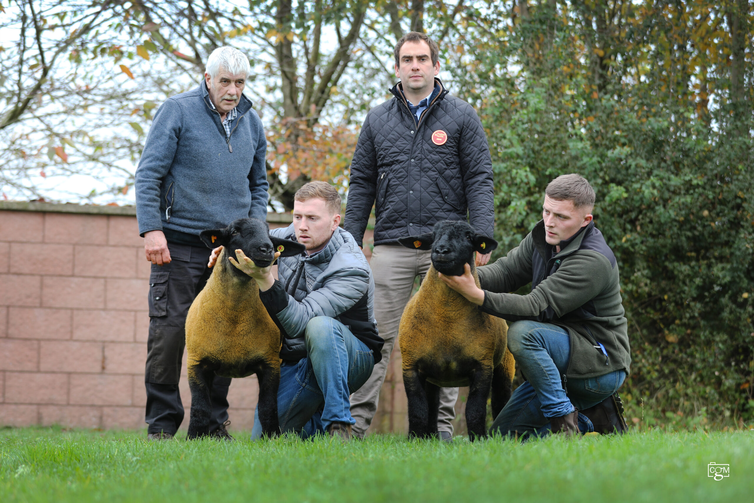 Champion ewe lamb from Myfyr Evans tops Western Wonders 2024 Show and ...