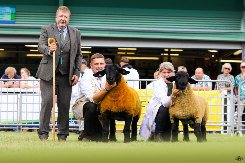 Royal Welsh Show 2025 - Suffolk Sheep Society