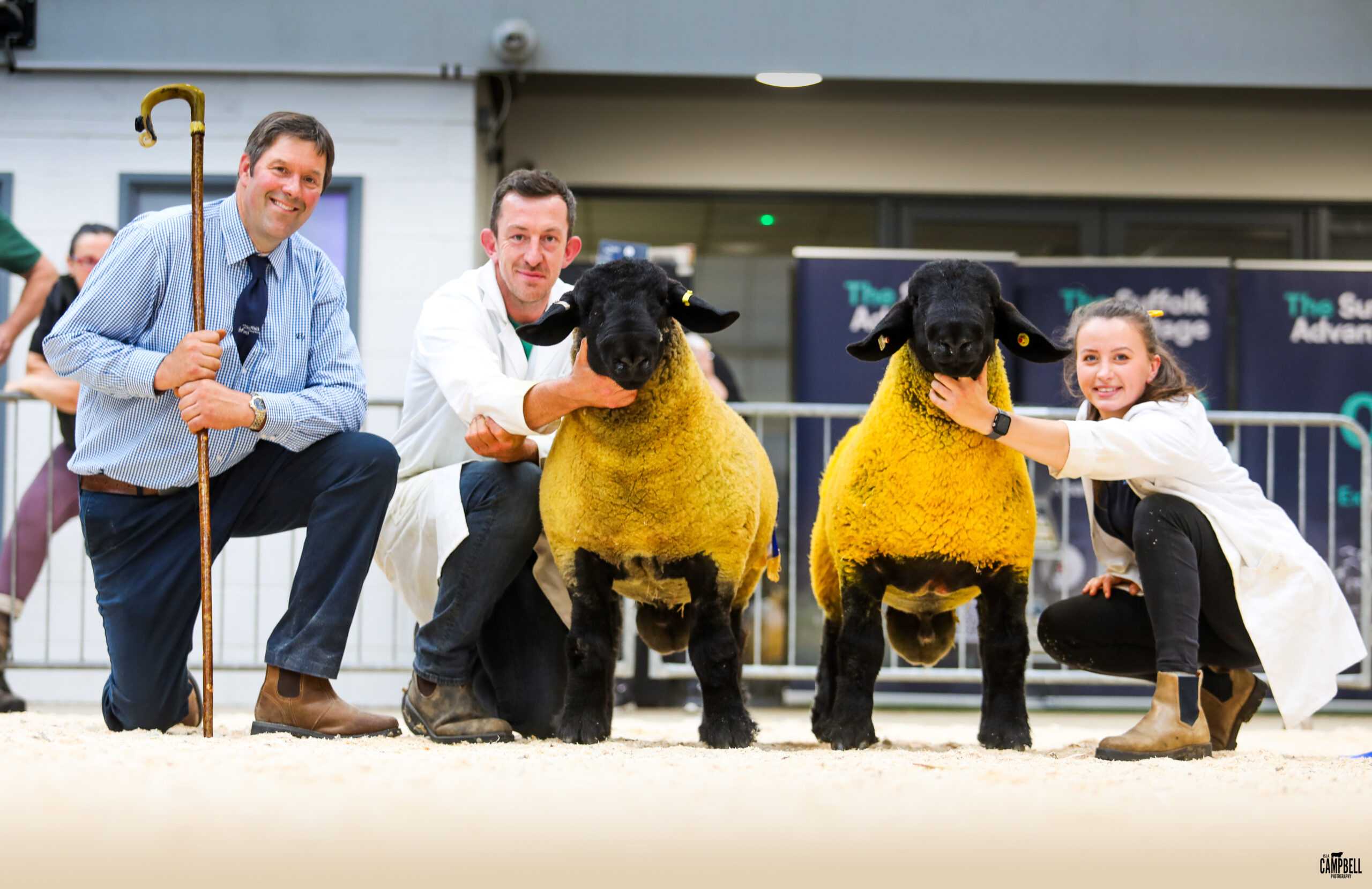 Home - Suffolk Sheep Society