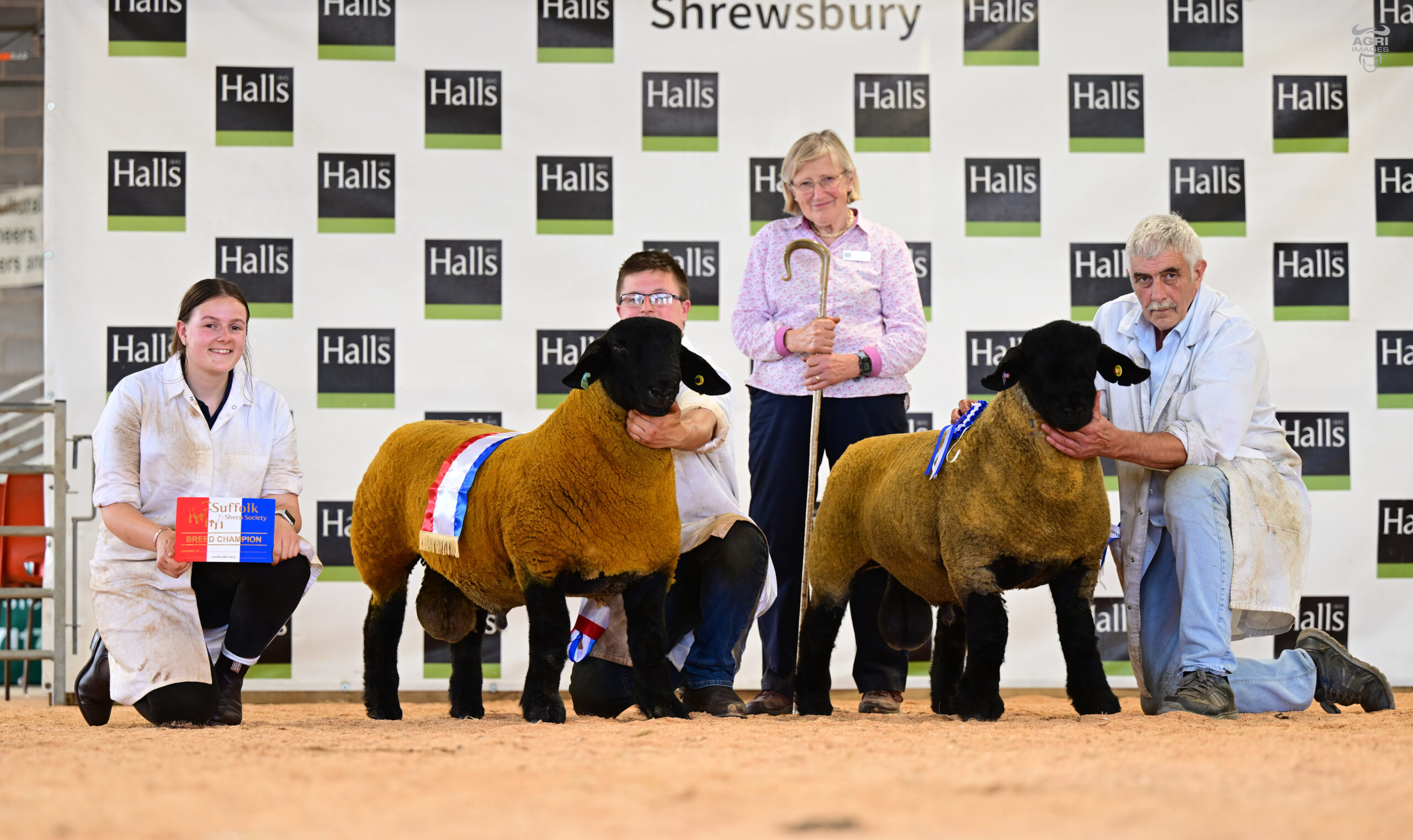 Suffolk Sheep Society Events - Suffolk Sheep Society